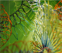 Amanda McCavour | Textile Art