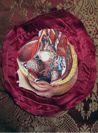 Rachel Harmeyer - Putting Her Heart Into It | Mr X Stitch