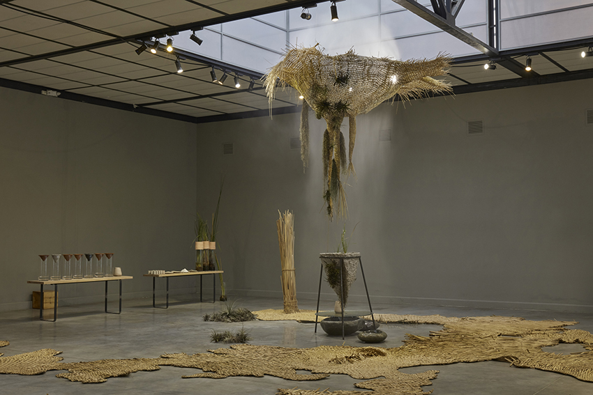 Ana Teresa Barboza Honours The Power Of Nature With Her Installations ...
