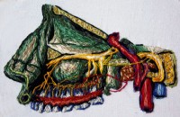 Candace Couse - Building A Body Of Work | Mr X Stitch