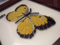 7 Fun Ways To Stitch Bugs | Mr X Stitch