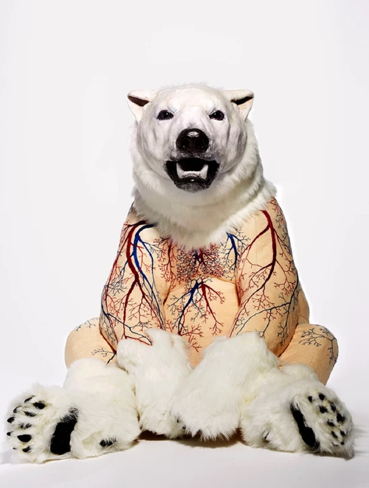 Deborah Simon: The Artistic Intersection Of Taxidermy, Toys, And ...