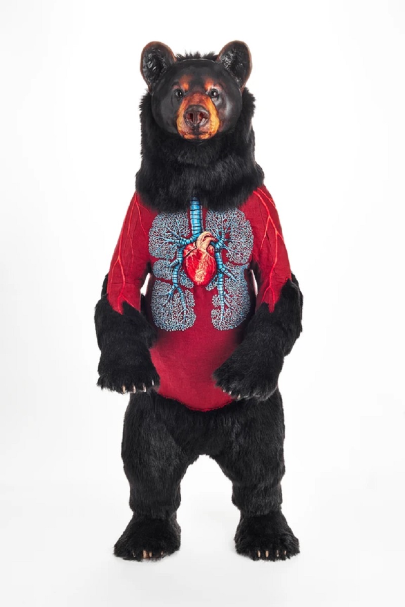 Deborah Simon: The Artistic Intersection Of Taxidermy, Toys, And ...