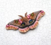 Incredible (Felt) Insects! | Mr X Stitch