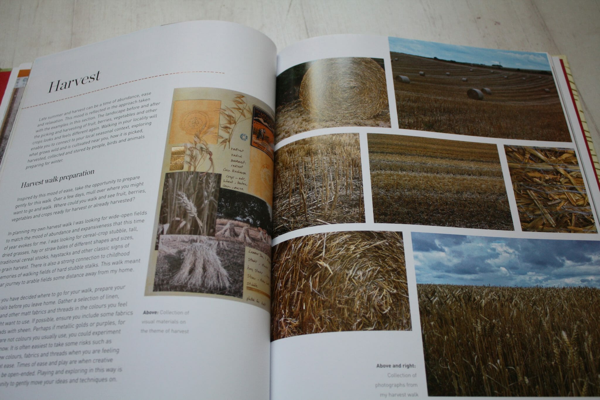 Book Review: Mark-Making Through The Seasons | Mr X Stitch