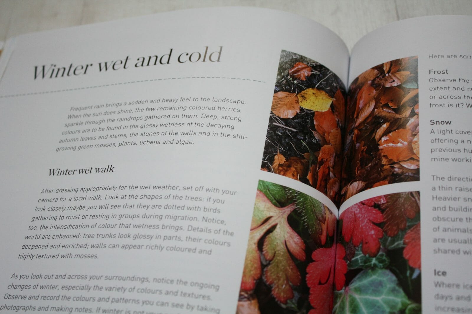 Book Review: Mark-Making Through The Seasons | Mr X Stitch