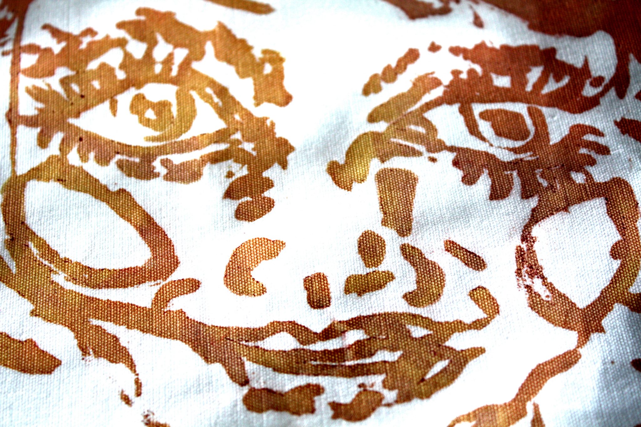 Can I Screen Print At Home? | Mr X Stitch