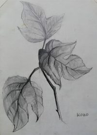 Kami...revisiting The World Of Japanese Paper | Mixed Media | Mr X Stitch