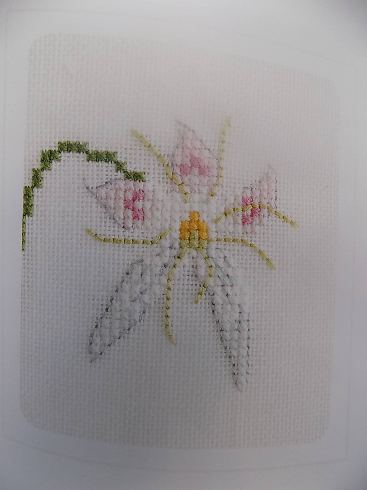 Cross Stitch Wildflowers And Grasses | Textile Art | Mr X Stitch