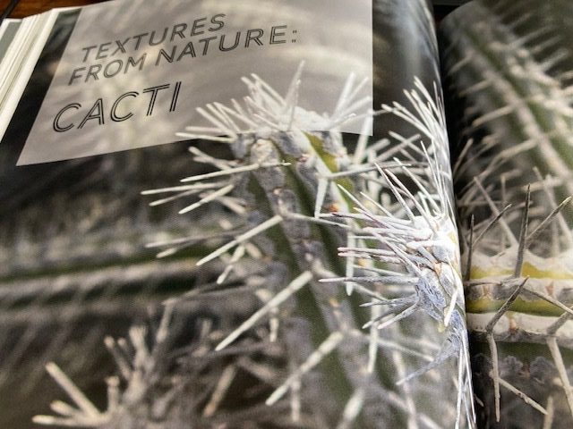 Textures From Nature In Textile Art | Mr X Stitch