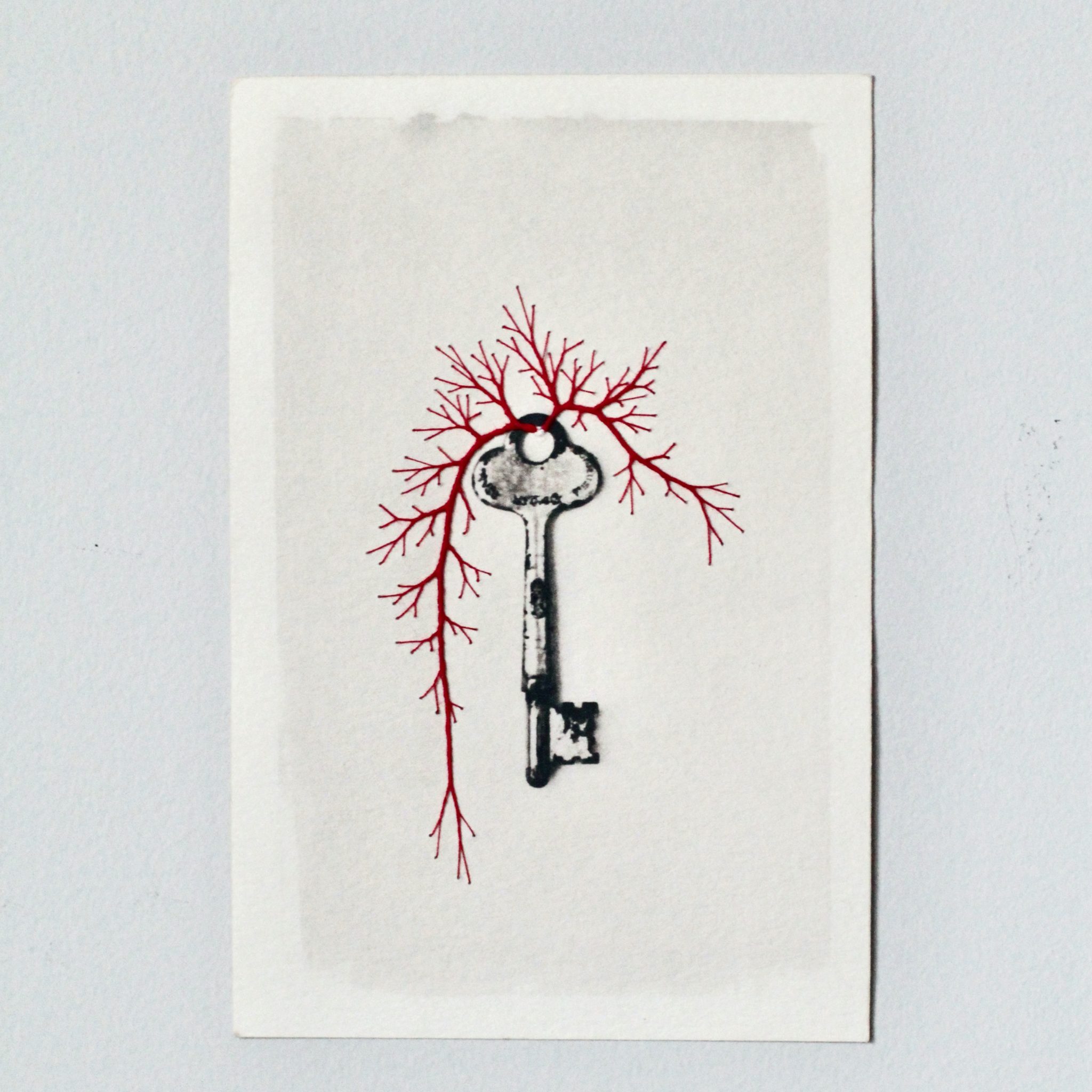 Rima Day - Not All Red Work Is Redwork | Mr X Stitch