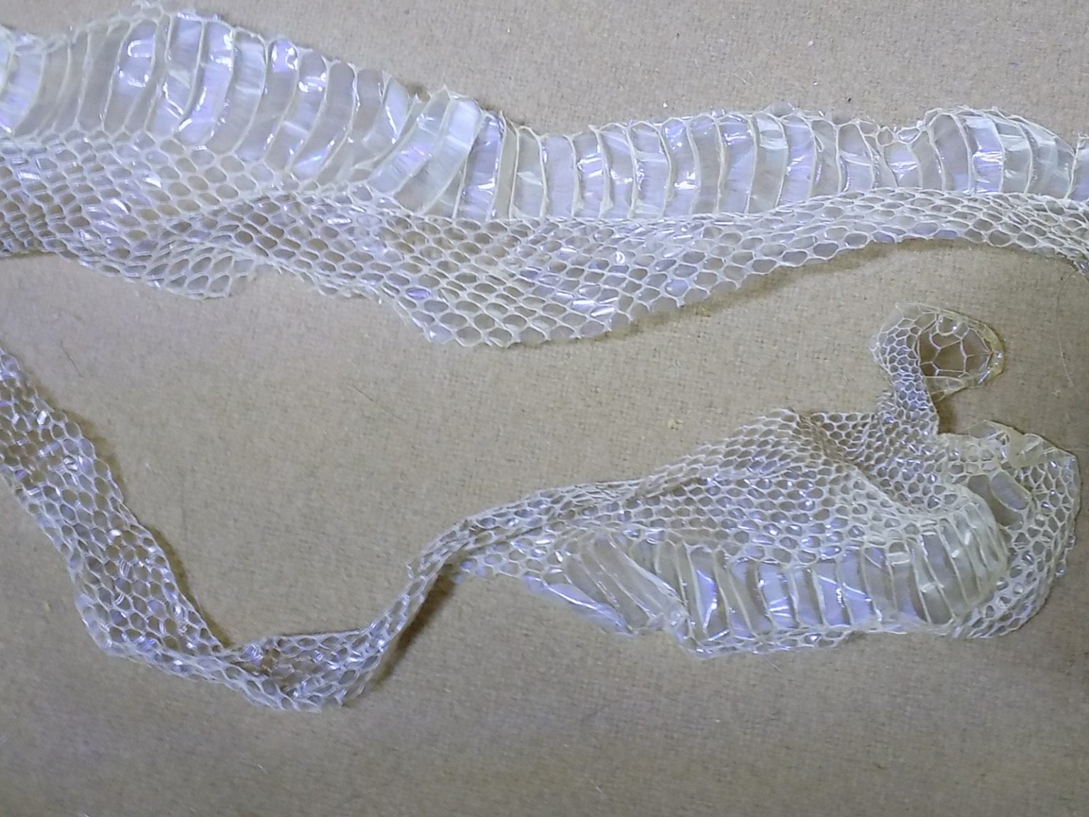 How To Create Skin In Textile Art | Mr X Stitch