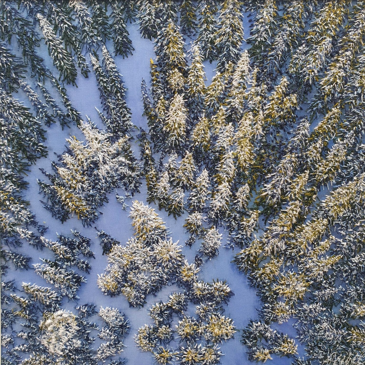 Alison Holt - Illuminating Nature | Mr X Stitch